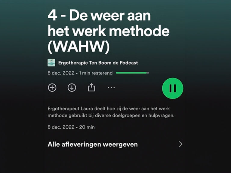 Ergotherapie inzetten, dat werkt! | Ergotherapie Ten Boom